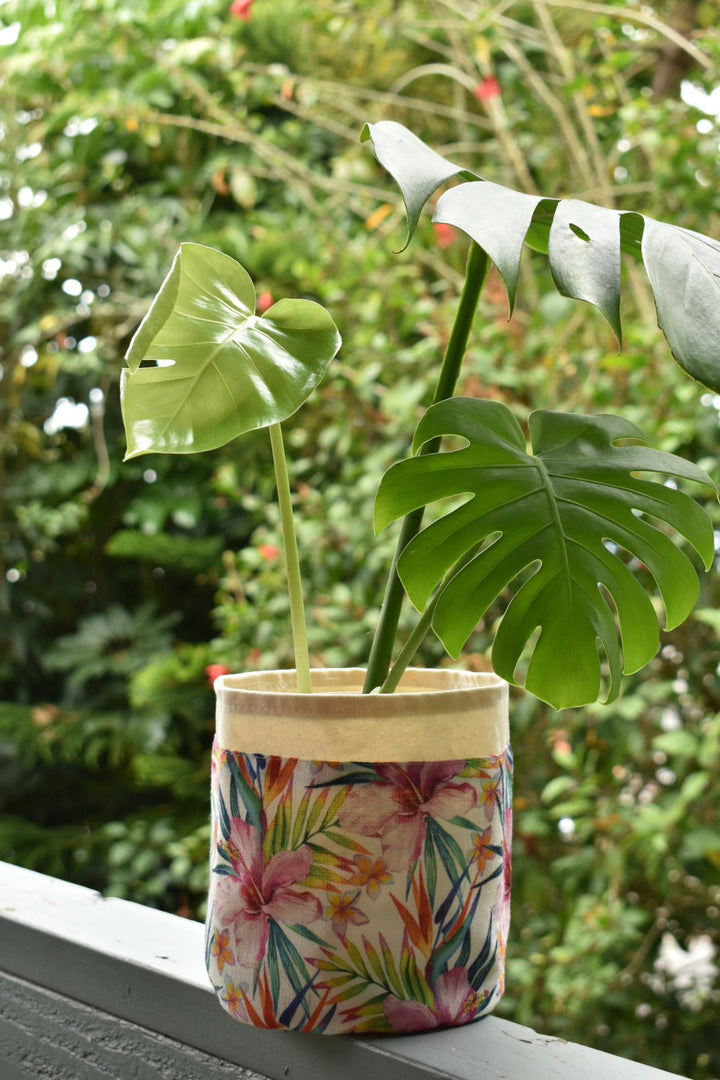 Sending You Aloha - Flowers from Hawaii